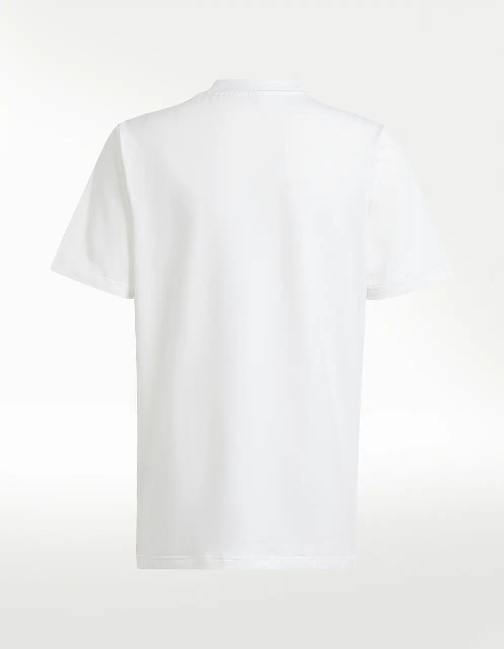 Top Adidas J Sw Gfx T | Ropa | Kids - TAF MX